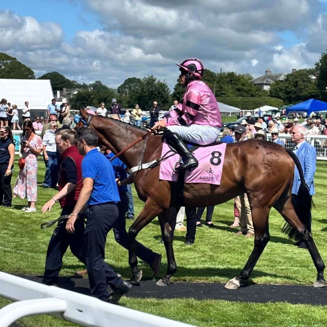 Cartmel Ladies Day 2025 - A Thundering Success! - Cartmel Racecourse