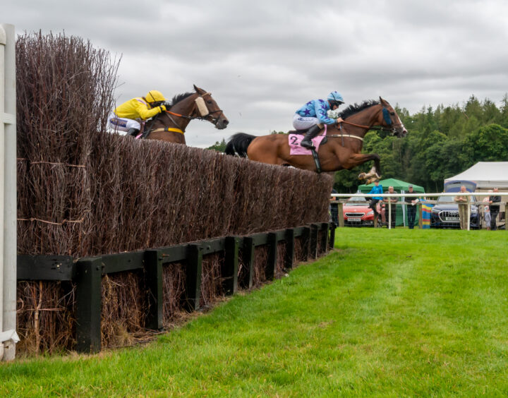 Hurdles vs Chase - What’s the Difference? - Cartmel Racecourse