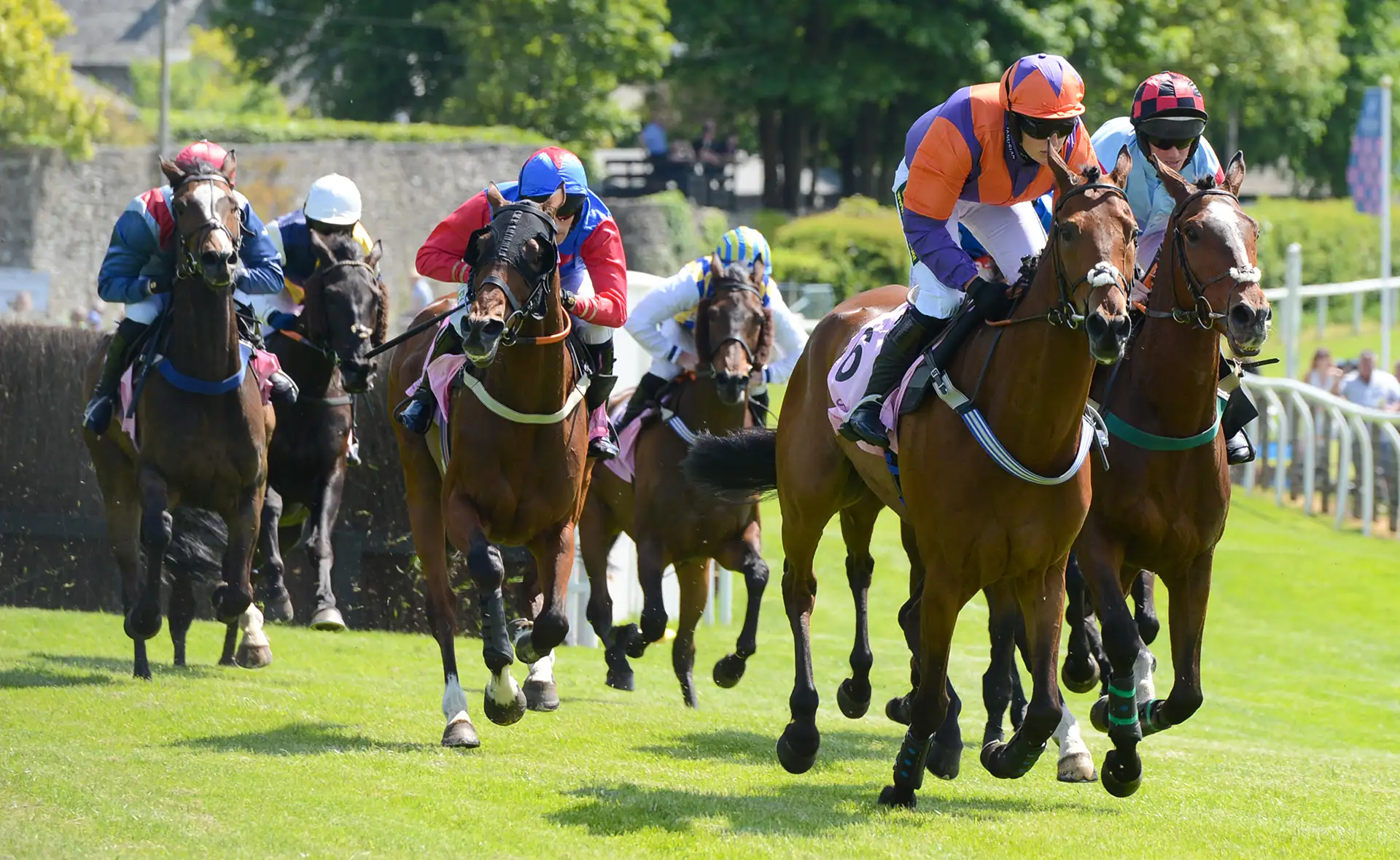 Thank You!! - Cartmel Racecourse